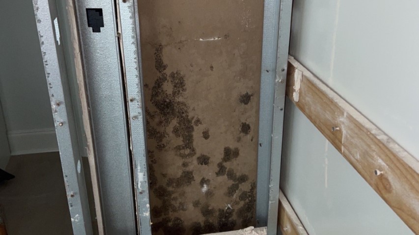 How to Know if Mold Is in Your Walls