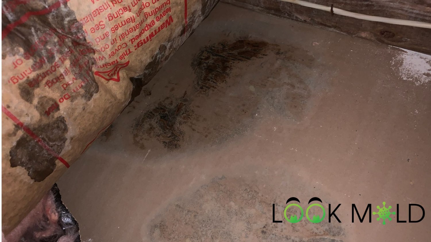 [Solved] What Does Mold Smell Like? Signs You May Have A Problem