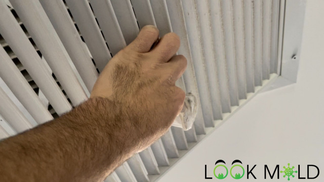 ERMI Mold Test: A Comprehensive Guide to Dust Sampling For Mold